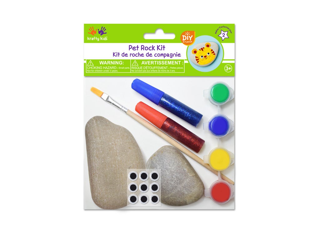 Krafty Kids Pet Rock Kit DIY | The Mini Makerspace